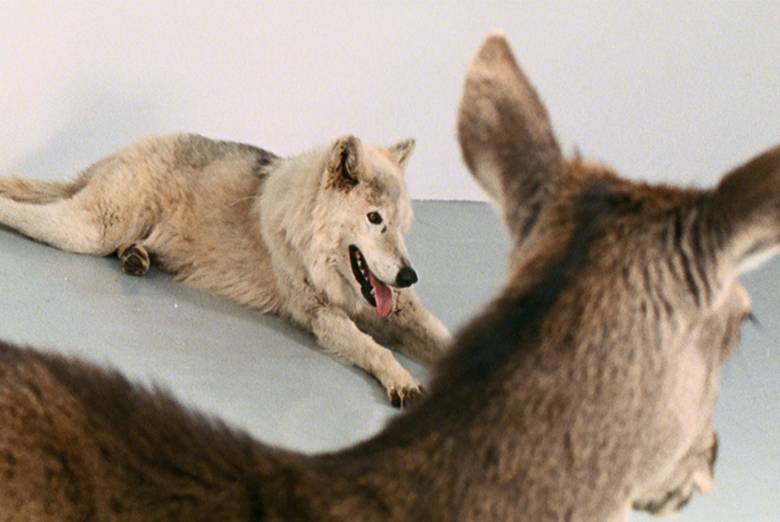 Victor Grippo | MoMA