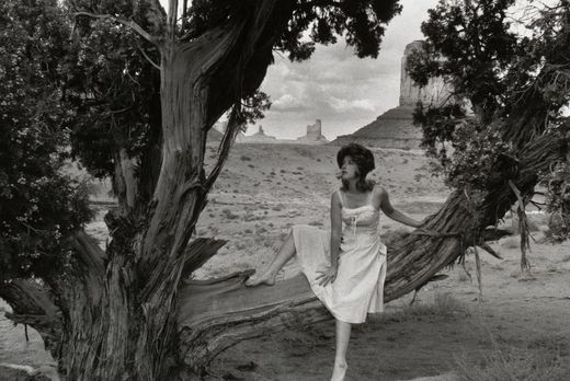 Henry Wessel, Jr. | MoMA