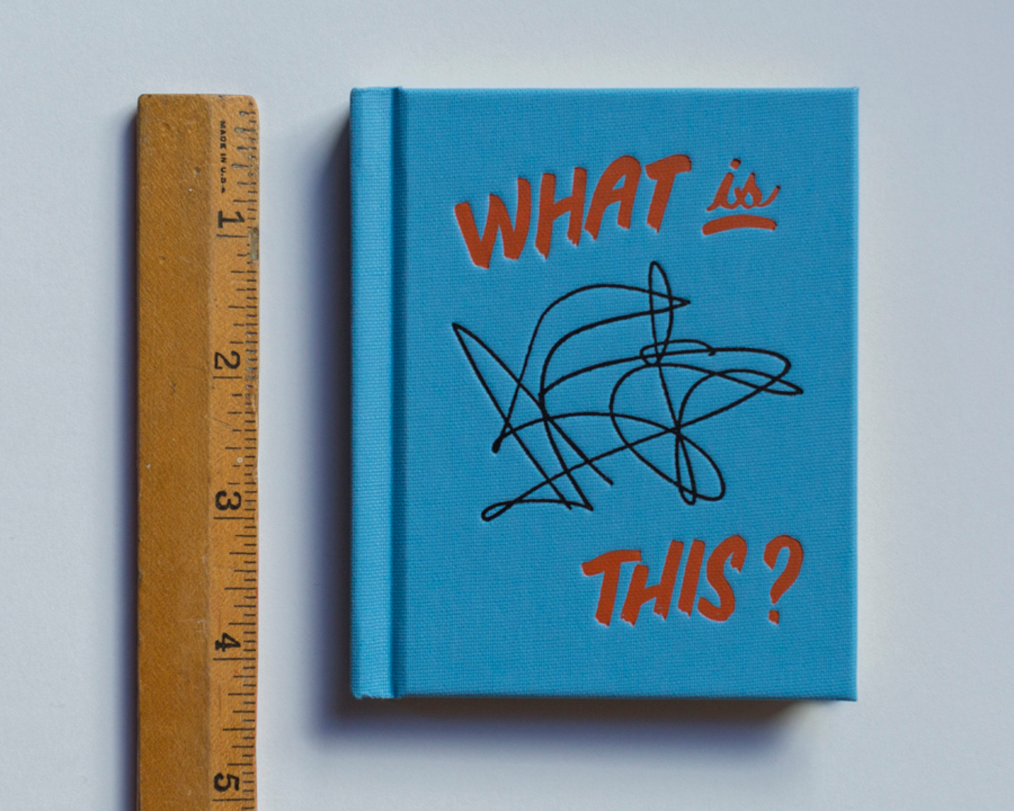 Meet and Create with Tamara Shopsin | MoMA