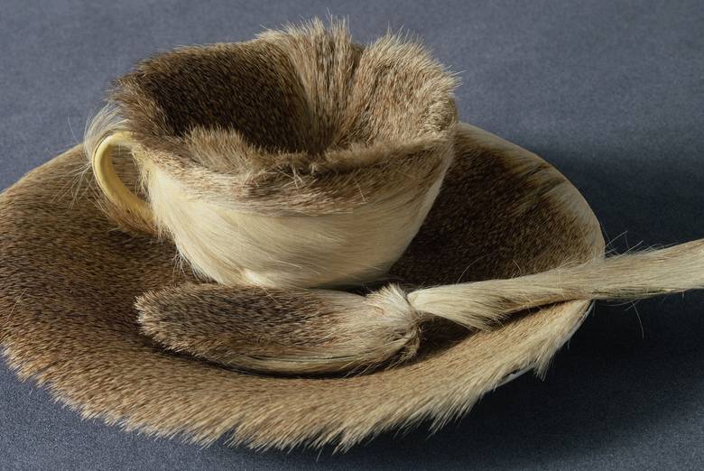 Meret Oppenheim | MoMA