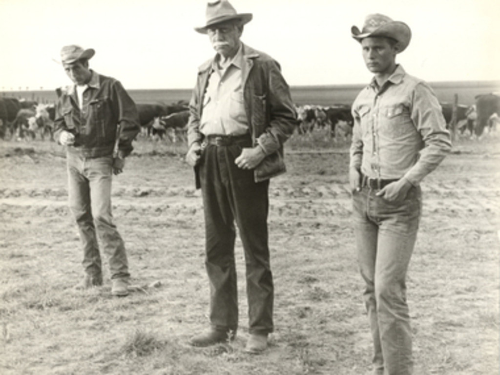 Hud. 1963. Directed by Martin Ritt | MoMA