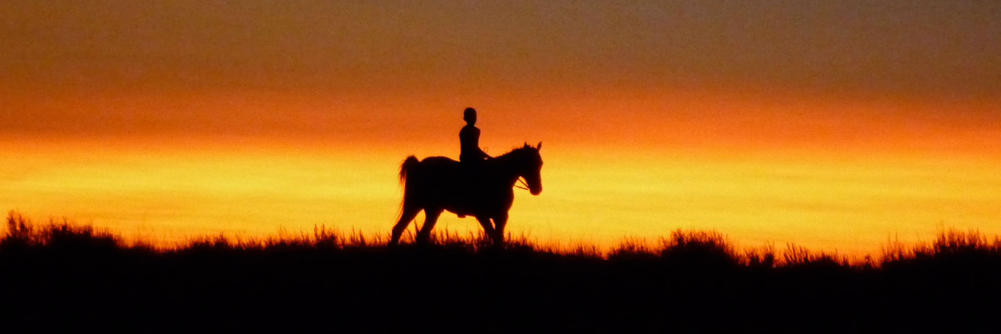 MoMA Presents: Neil Diamond’s Reel Injun | MoMA