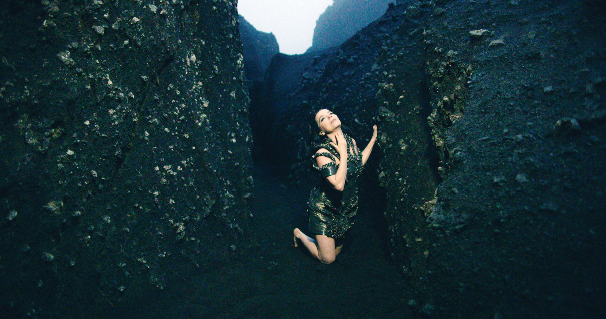 Björk | MoMA