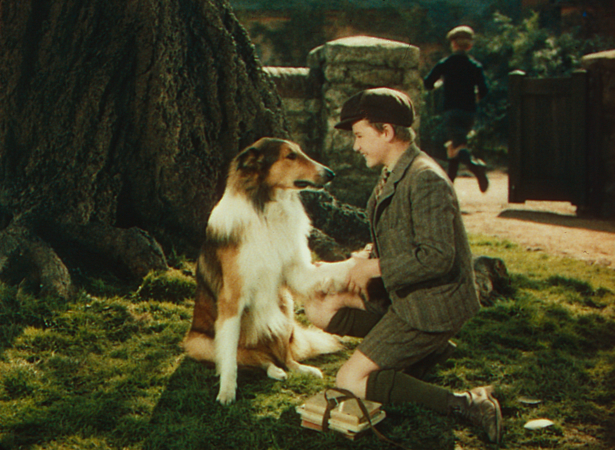 Lassie Come Home. 1943. Directed by Fred M. Wilcox | MoMA
