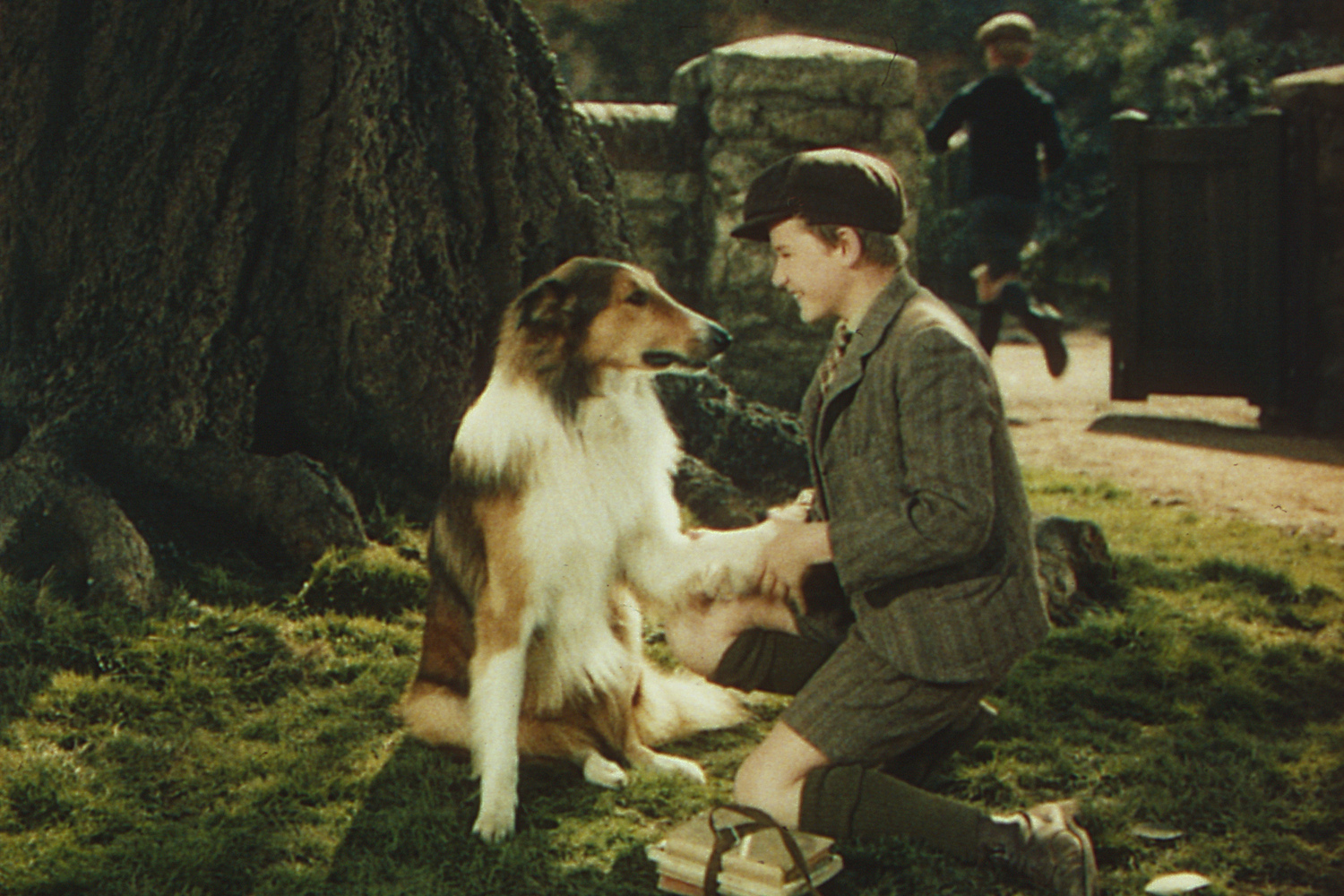 Lassie Come Home. 1943. Directed by Fred M. Wilcox