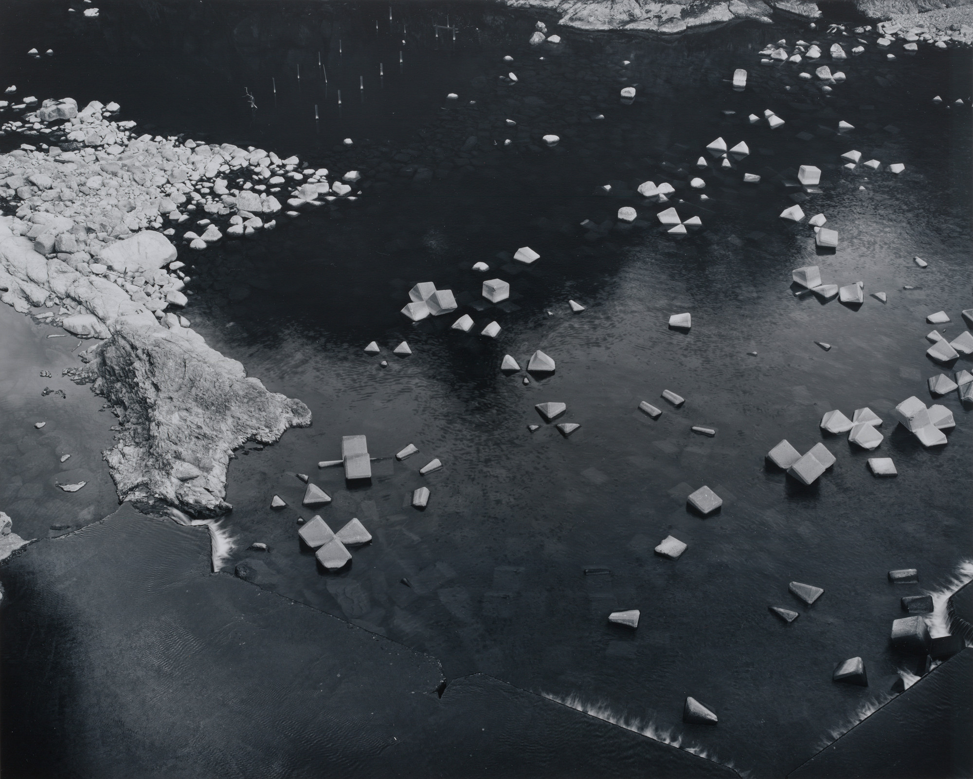 New Photography 8: Dieter Appelt, Ellen Brooks, Darrel Ellis, Dennis ...