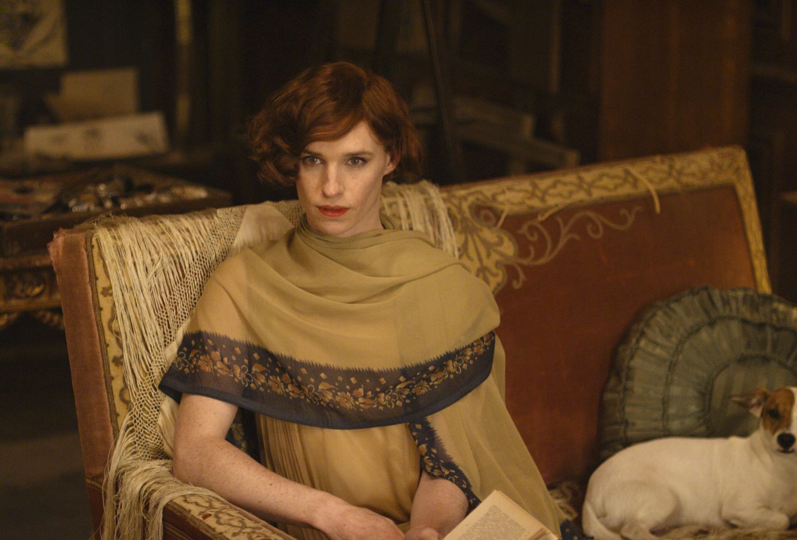 The Danish Girl. 2015. Directed by Tom Hooper | MoMA