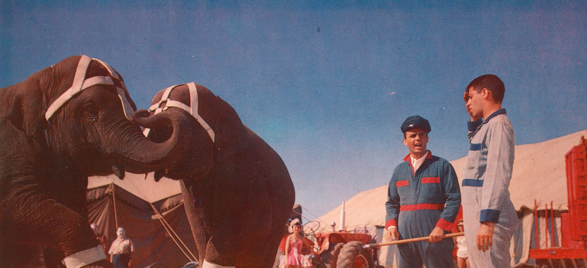 3 Ring Circus. 1955. Directed by Joseph Pevney Money from Home ...