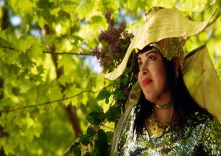 Slithering Screens: 10 Years of New Frontier at Sundance Institute | MoMA