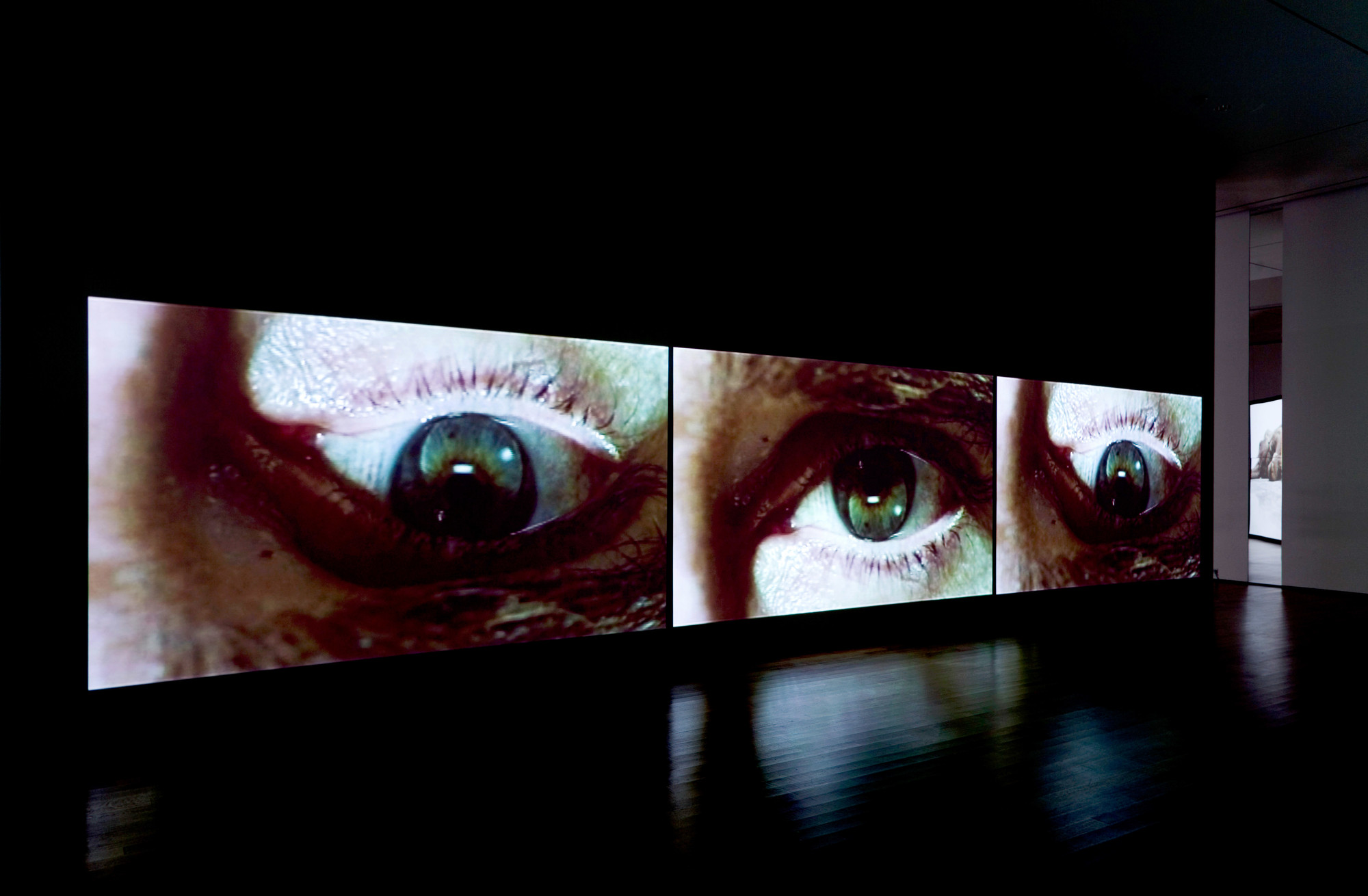 Douglas Gordon: Timeline | MoMA