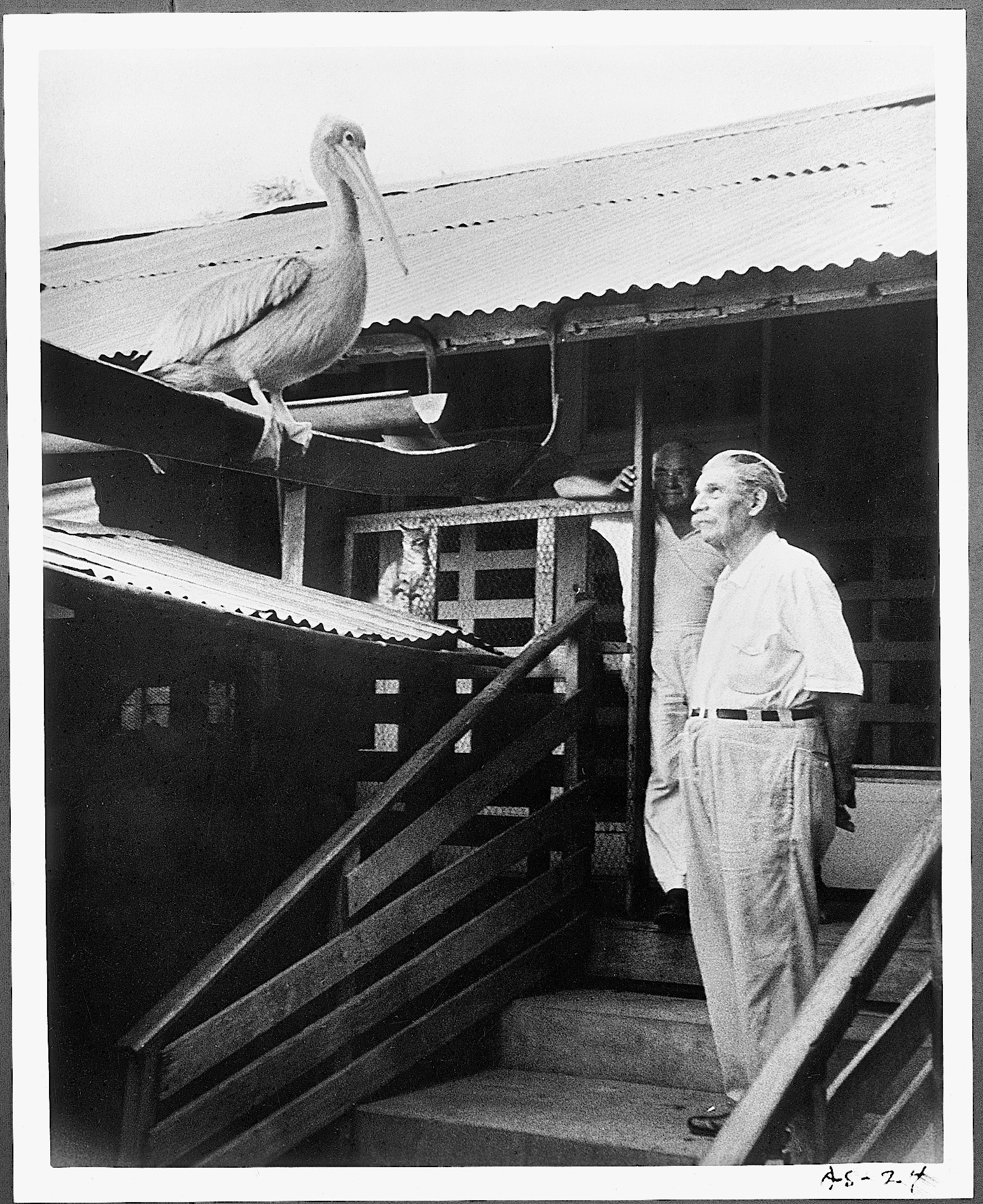 Jerome: Hill and Foundation | MoMA