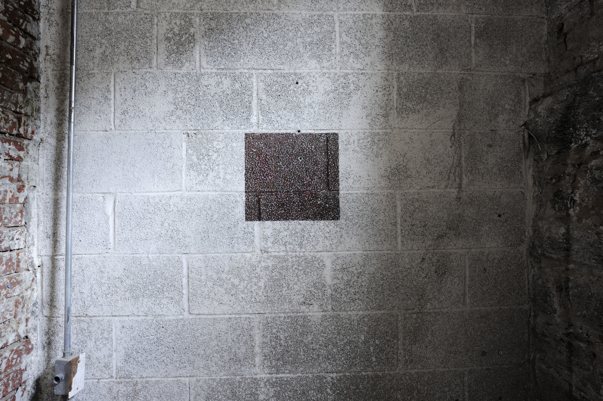 MoMA PS1 Artist interventions: MoMA PS1 Artist interventions | MoMA