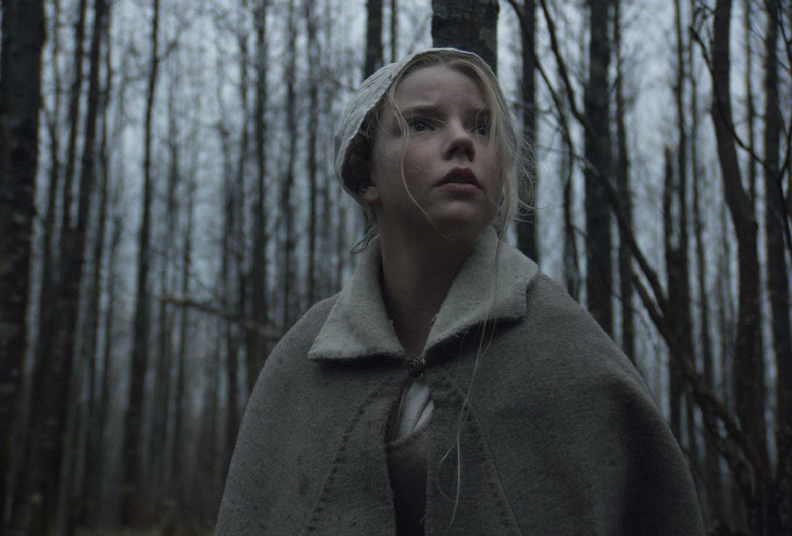 The Witch. 2015. Directed by Robert Eggers | MoMA