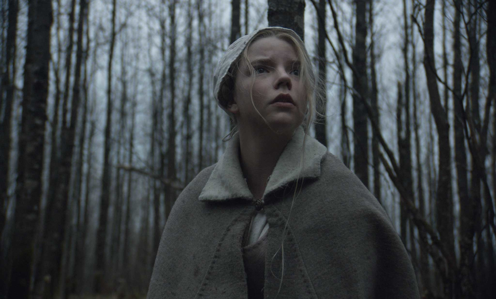 The Witch. 2015. Directed by Robert Eggers | MoMA