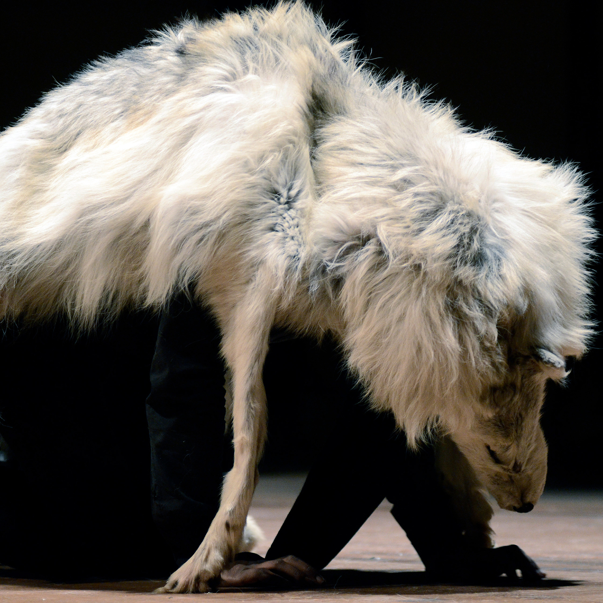 Projects 107: Lone Wolf Recital Corps | MoMA