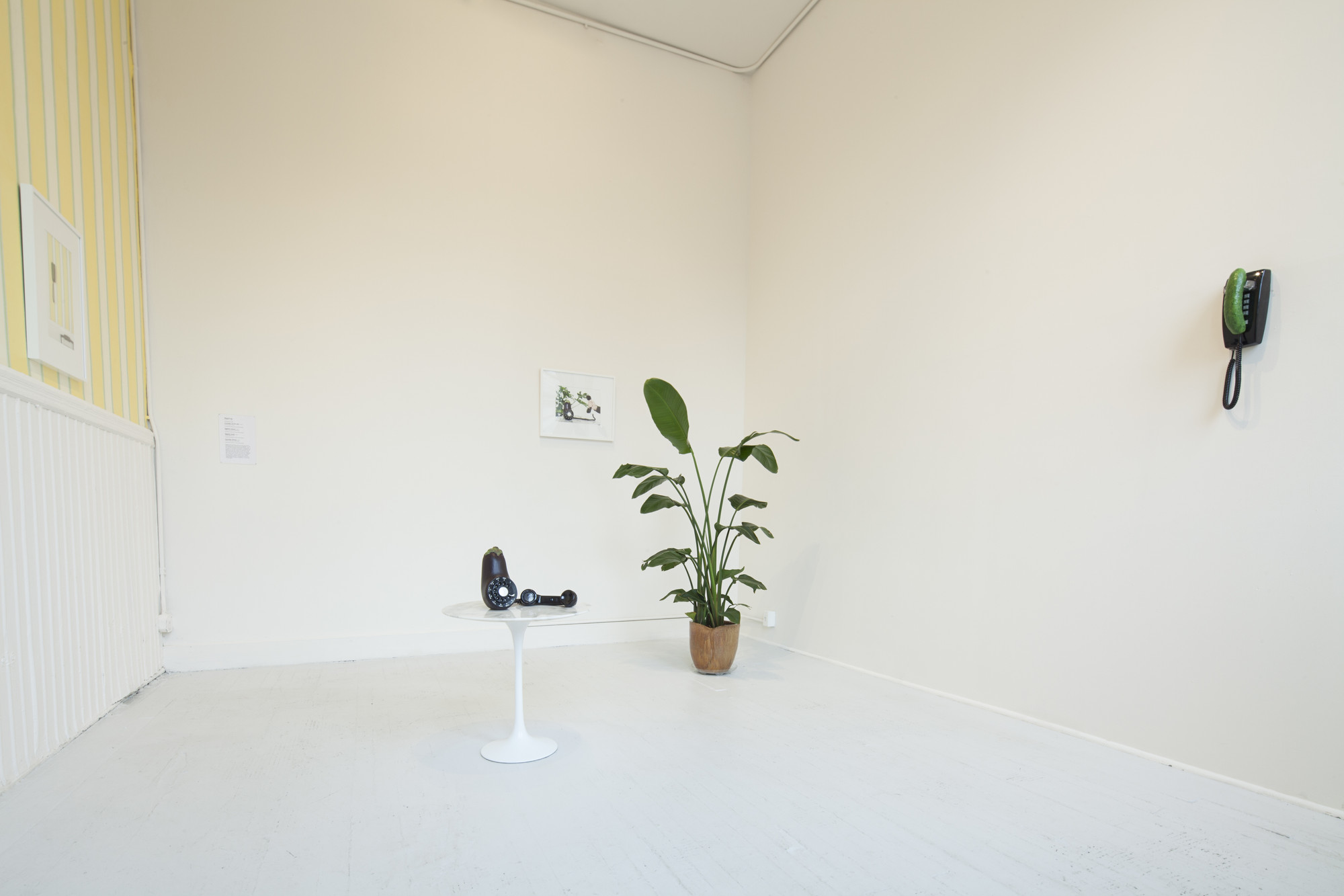 New Pictures of Common Objects | MoMA