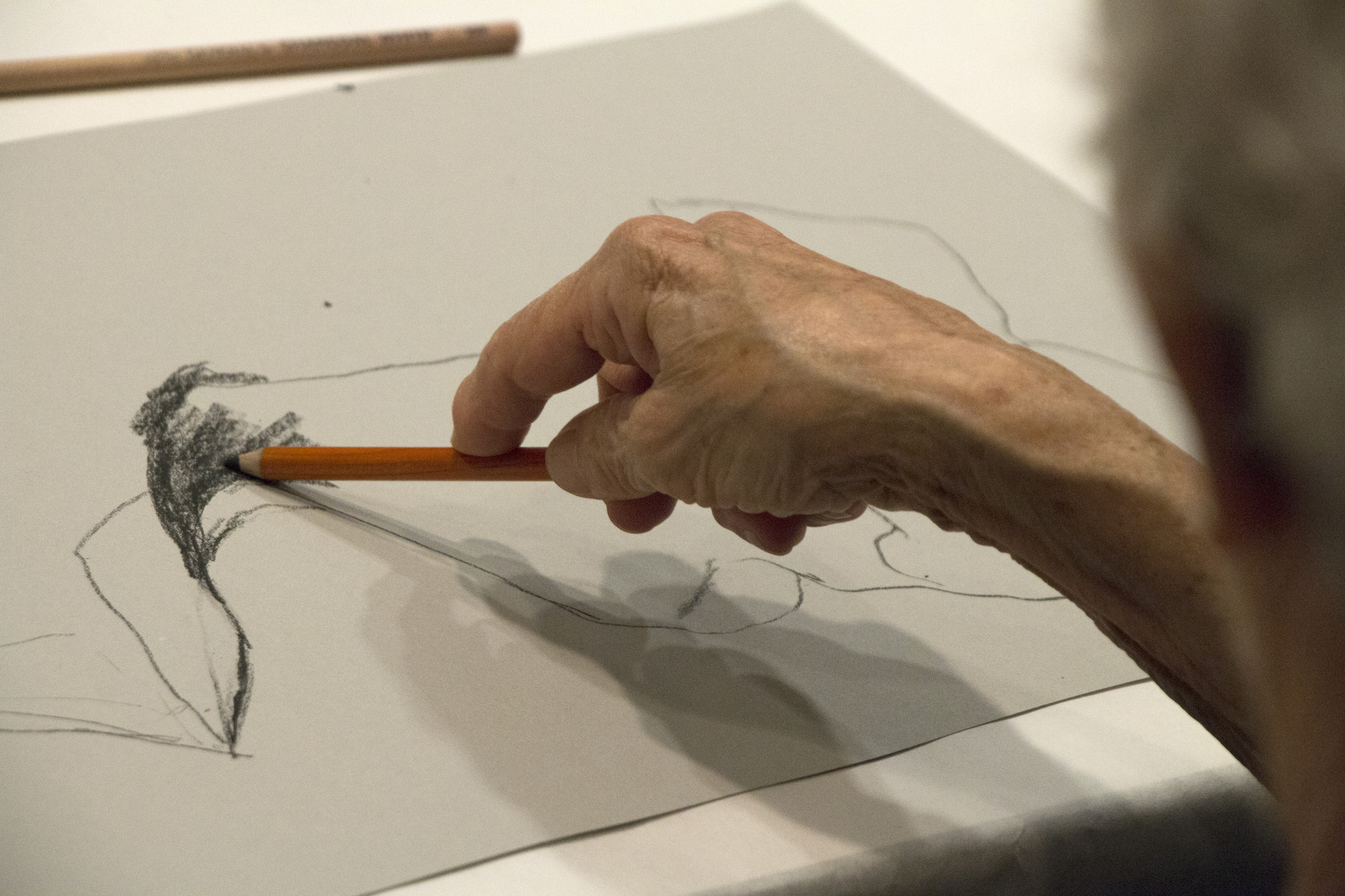 Prime Time Celebration: Through Lines | MoMA