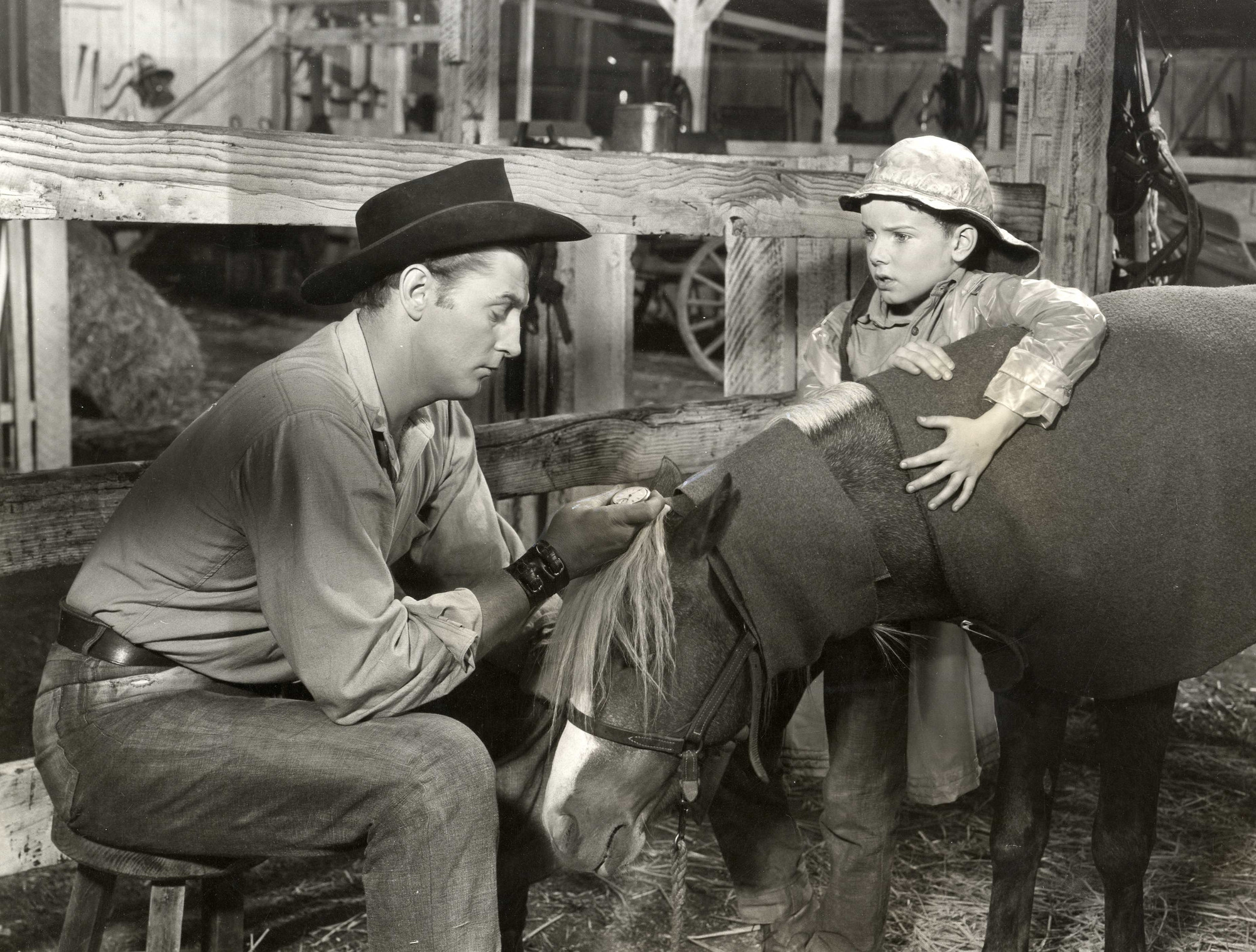 The Red Pony. 1949. Directed by Lewis Milestone | MoMA