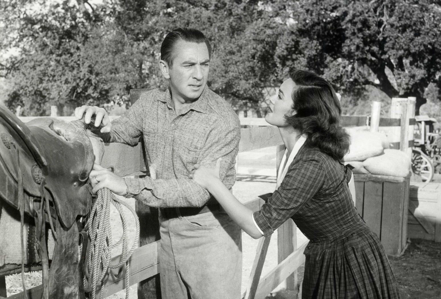 Stranger at My Door. 1956. Directed by William Witney | MoMA