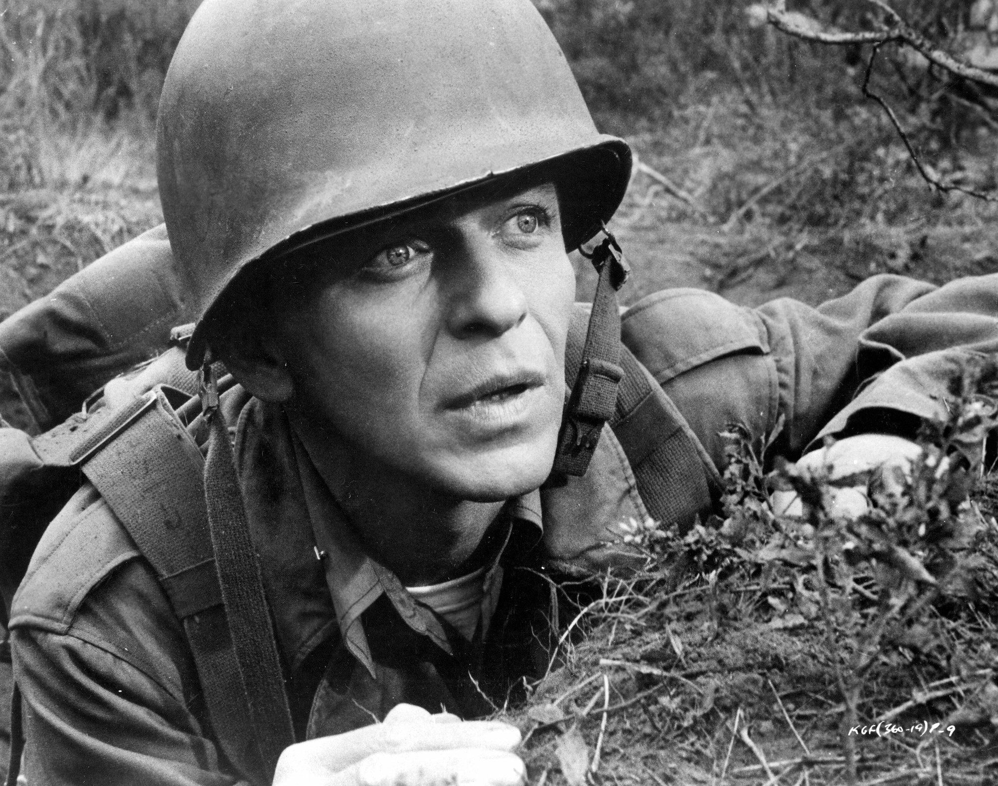 Kings Go Forth. 1958. Directed by Delmer Daves | MoMA