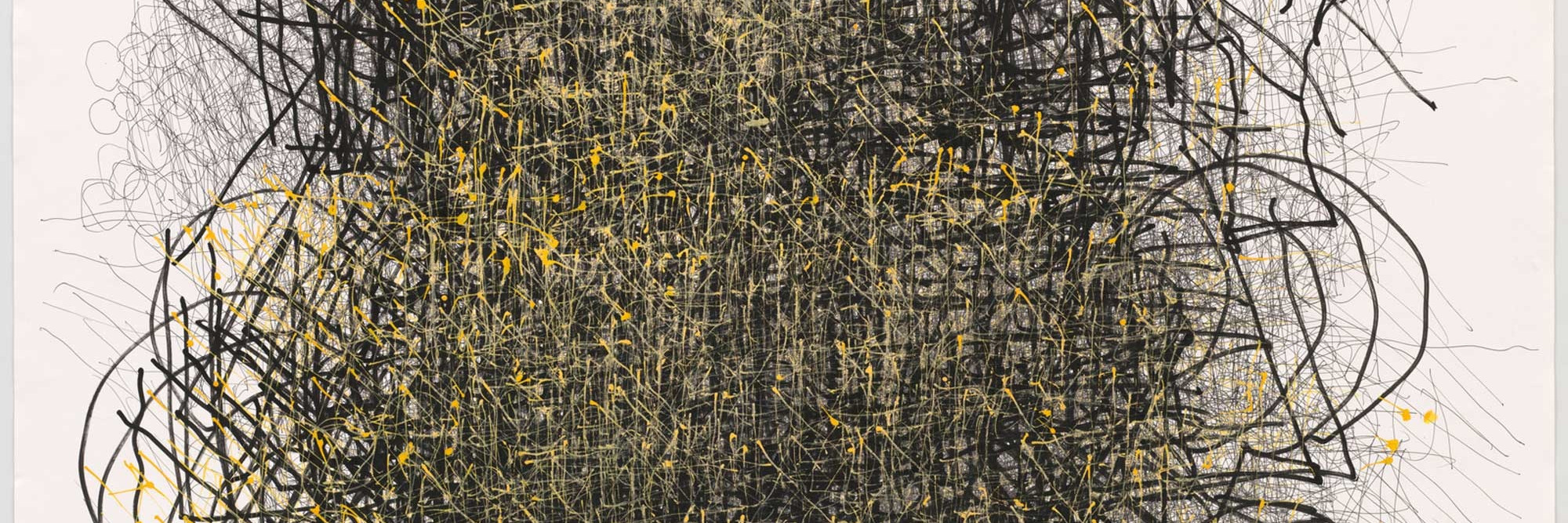 Inbox: Dan Miller | MoMA