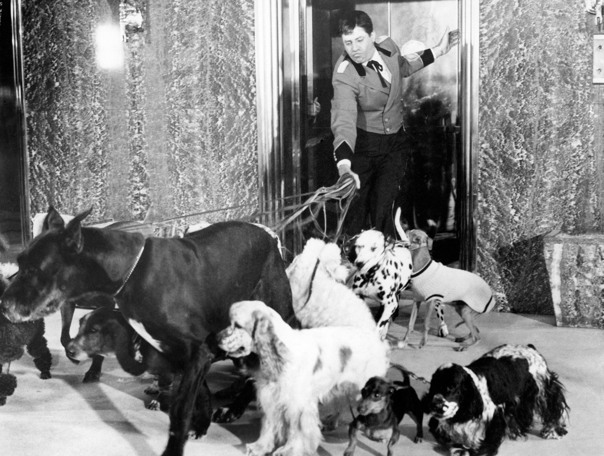 The Bellboy. 1960. Written and directed by Jerry Lewis | MoMA