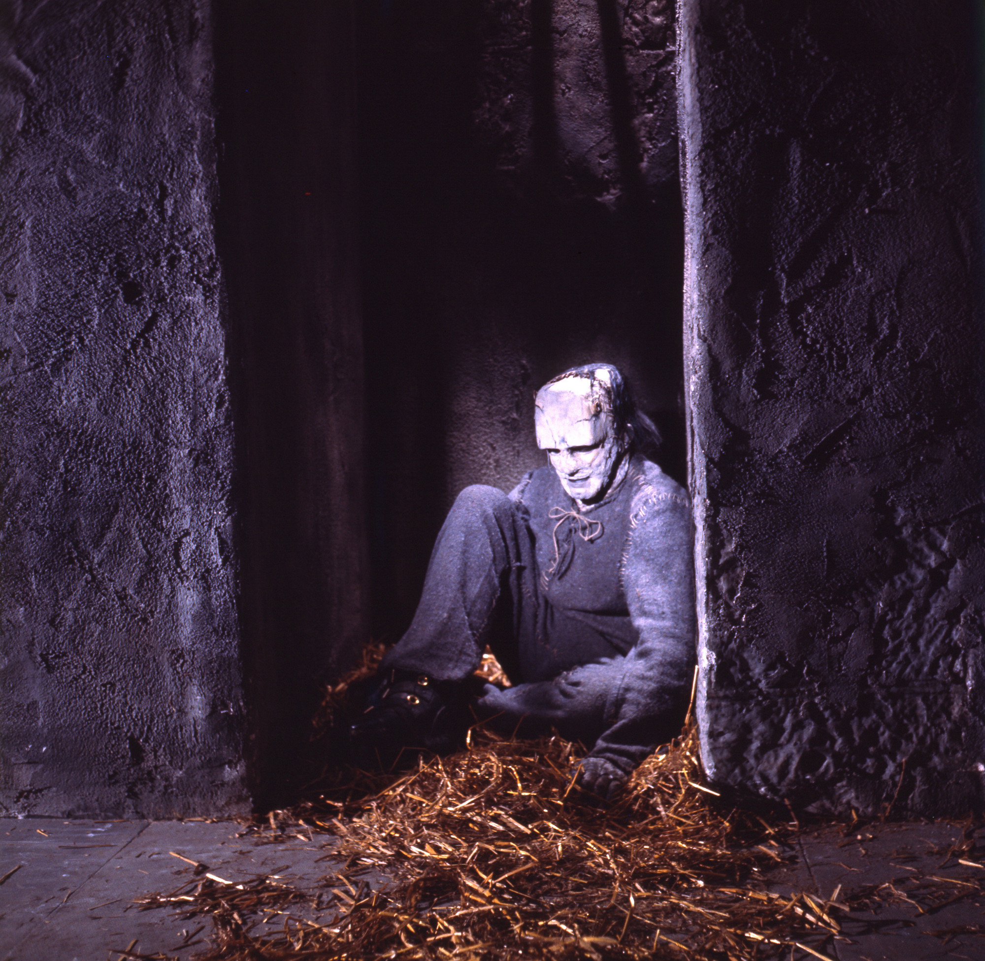 A User’s Guide to Frankenstein | Magazine | MoMA