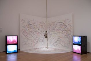 Carolee Schneemann | MoMA