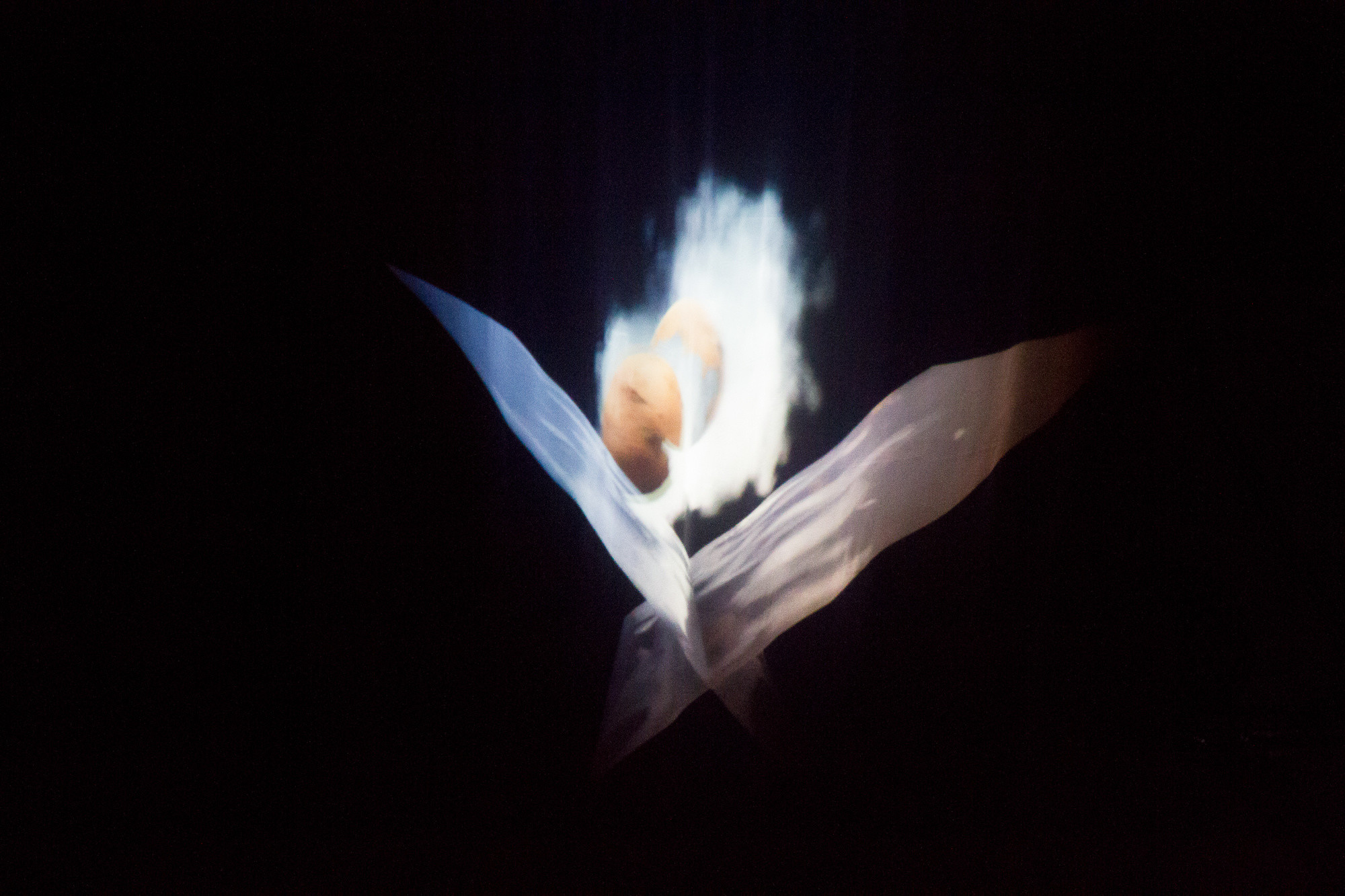 Highlights from Anti Bodies: Highlights from Anti Bodies | MoMA