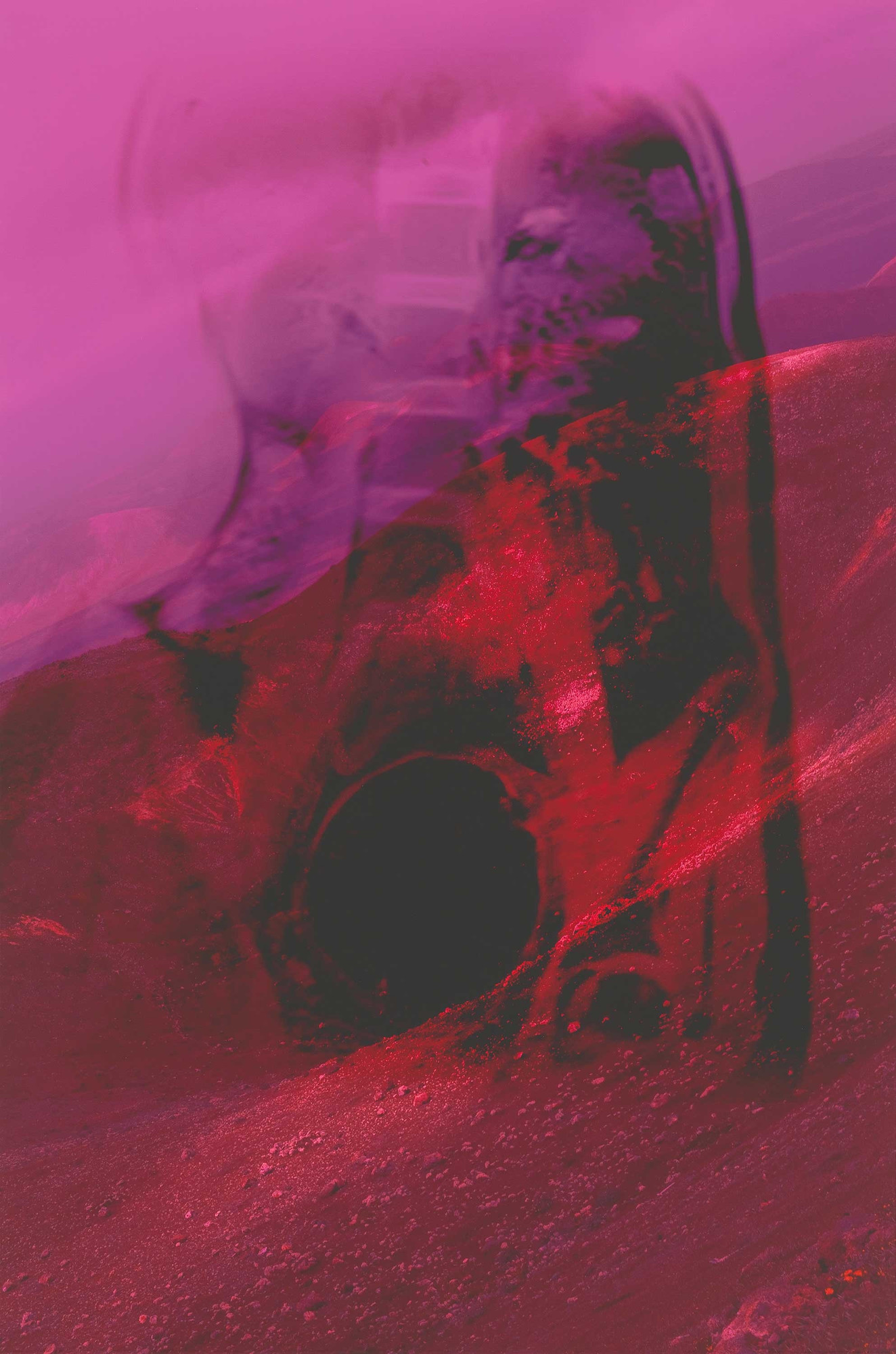 New Order: Art and Technology in the Twenty-First Century | MoMA