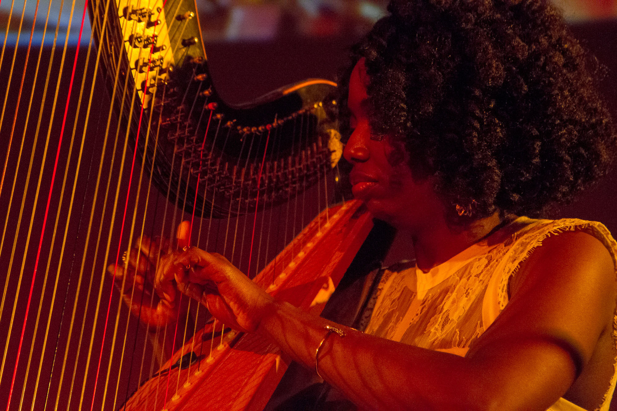 Highlights from Monastic and Ecstatic: A Glimpse into the Life and ...