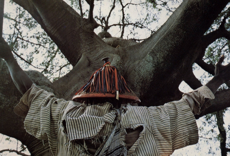 Fad’jal. 1979. Written and directed by Safi Faye | MoMA