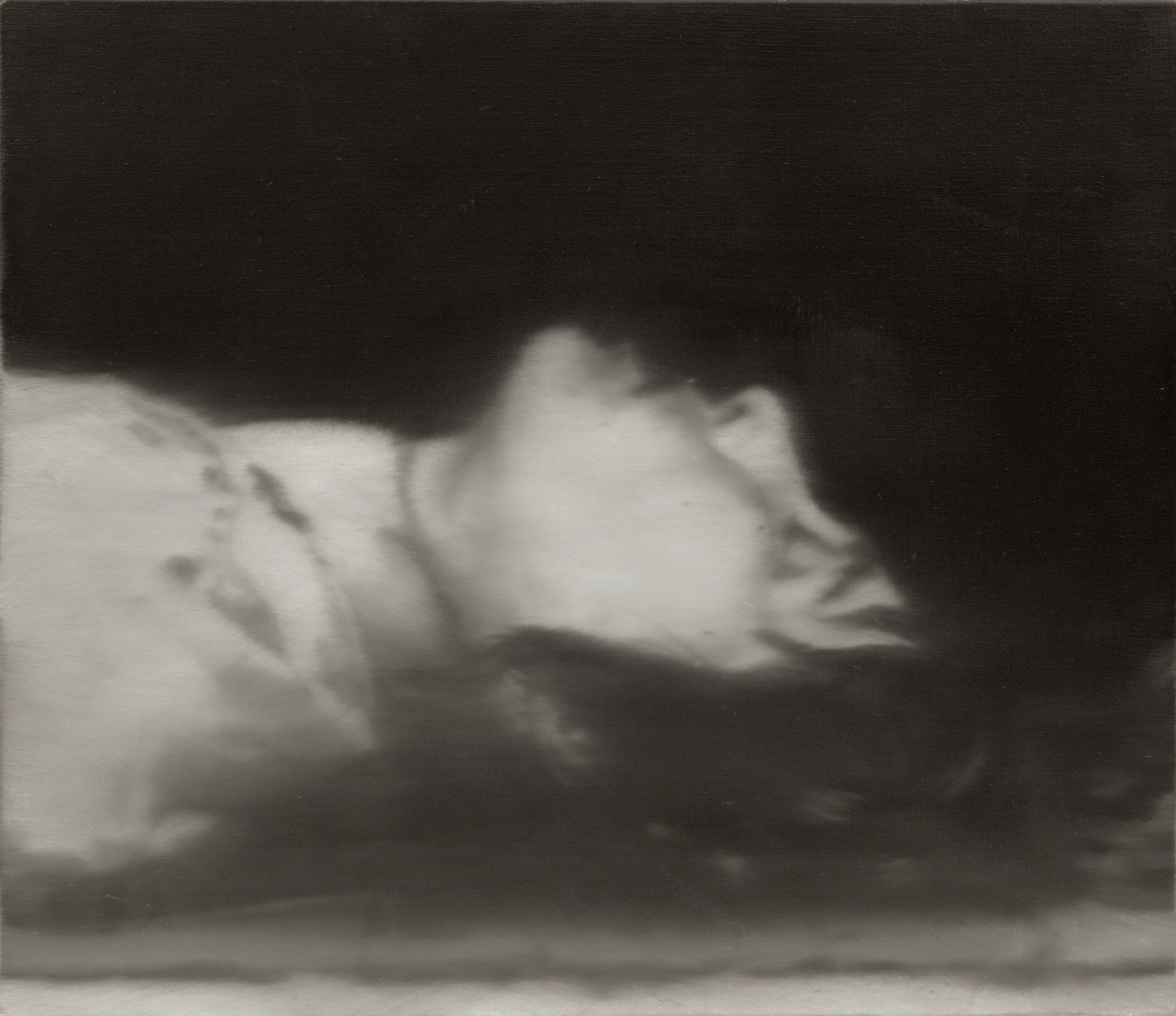 Gerhard Richter’s Enigmatic Cycle in The Long Run | Magazine | MoMA