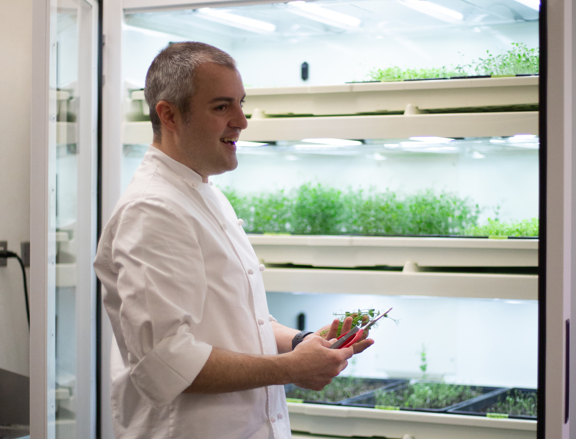 Spring Sustainability at The Modern Restaurant | Magazine | MoMA