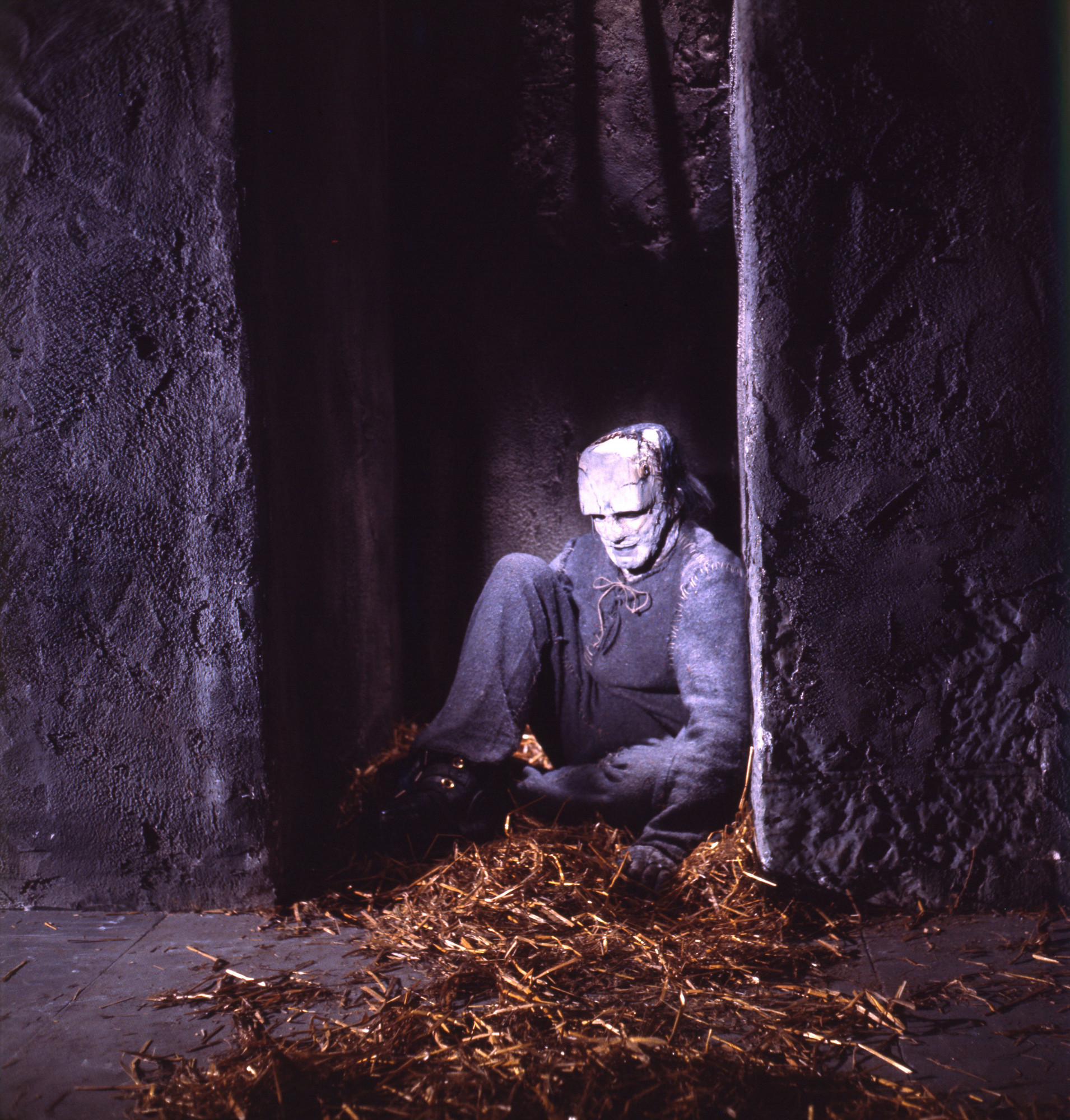 A User’s Guide to Frankenstein | Magazine | MoMA