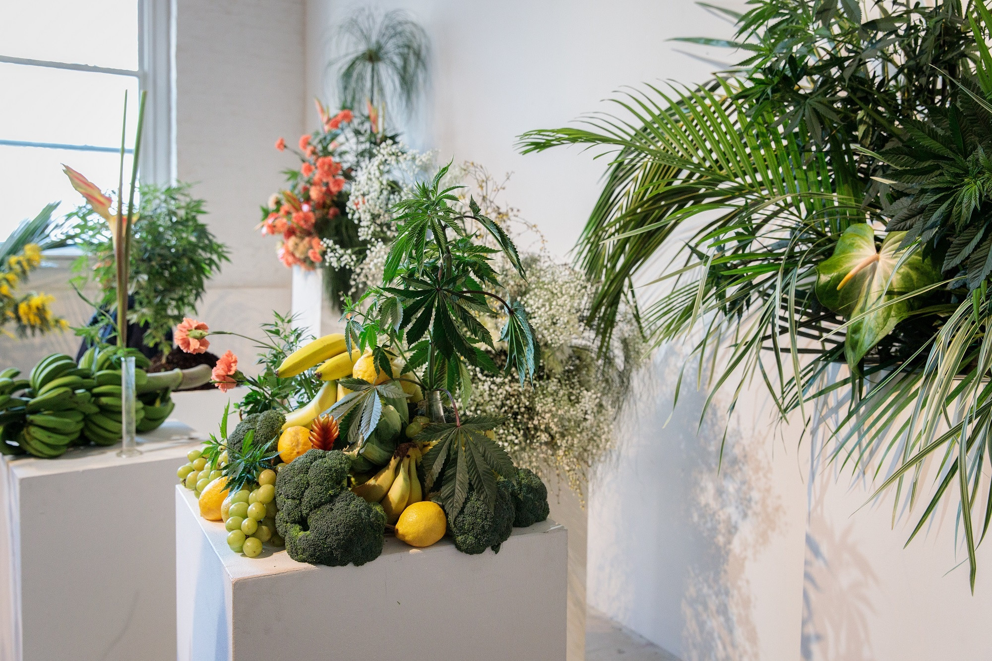 Highlights from Hothouse: Flowers and Cannabis Culture with Broccoli ...