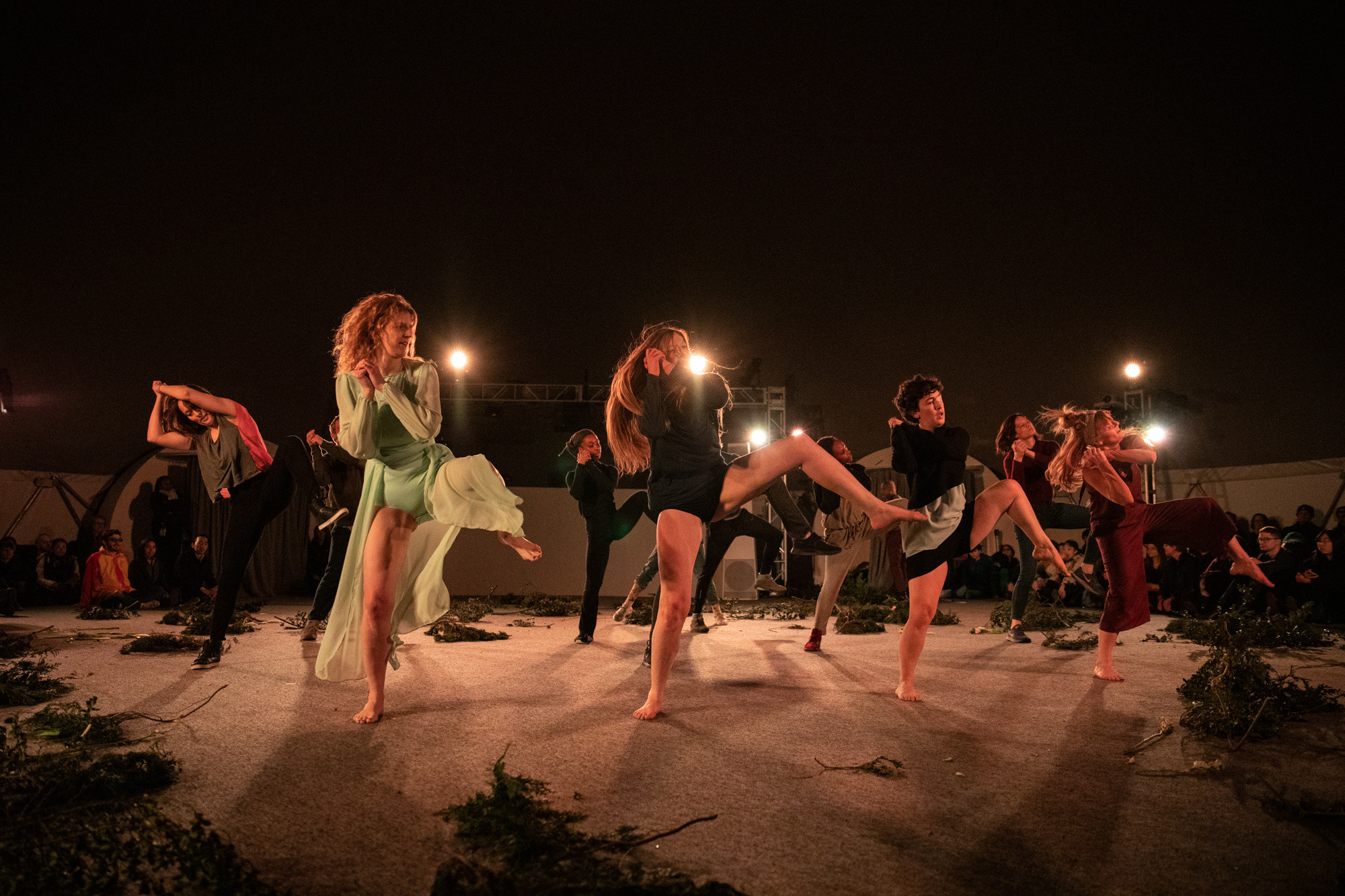 Highlights from Emily Wexler: Evergreen: Highlights from Emily Wexler ...