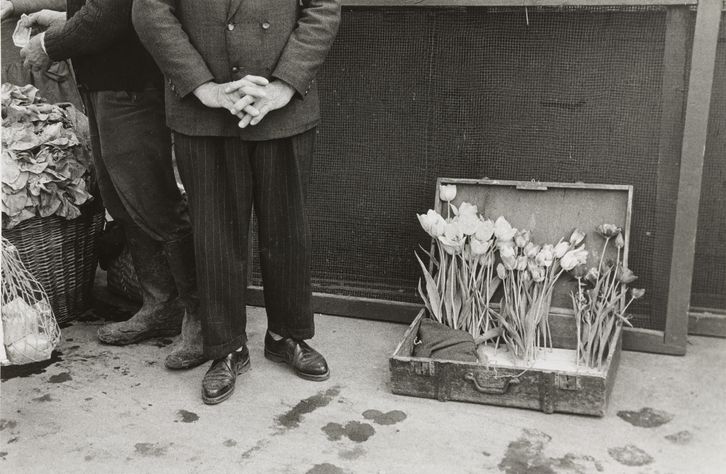 Remembering Abstract Pioneer Jack Youngerman, 1926–2020 | Magazine | MoMA