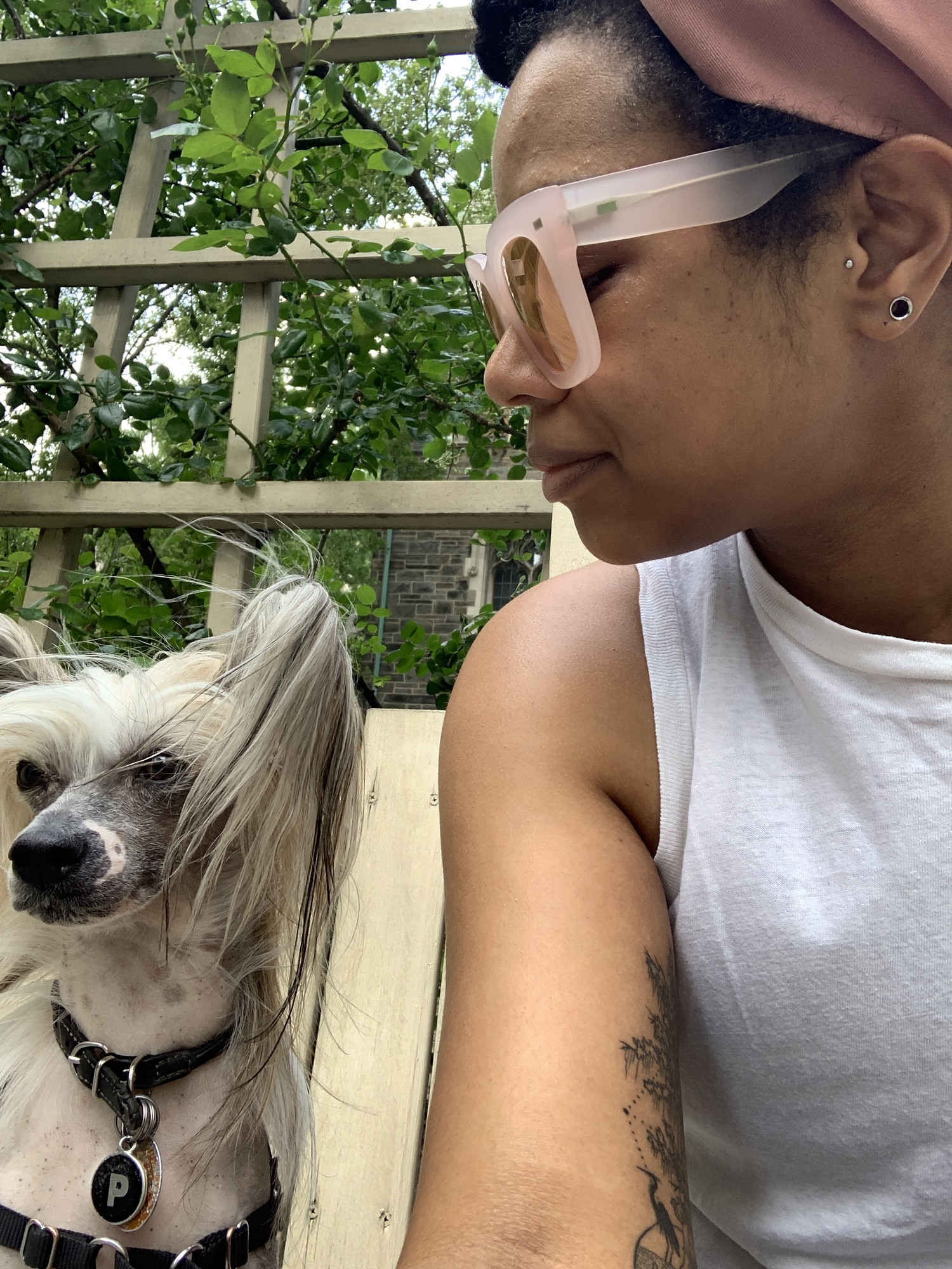 24 hours with Allison Janae Hamilton | Magazine | MoMA