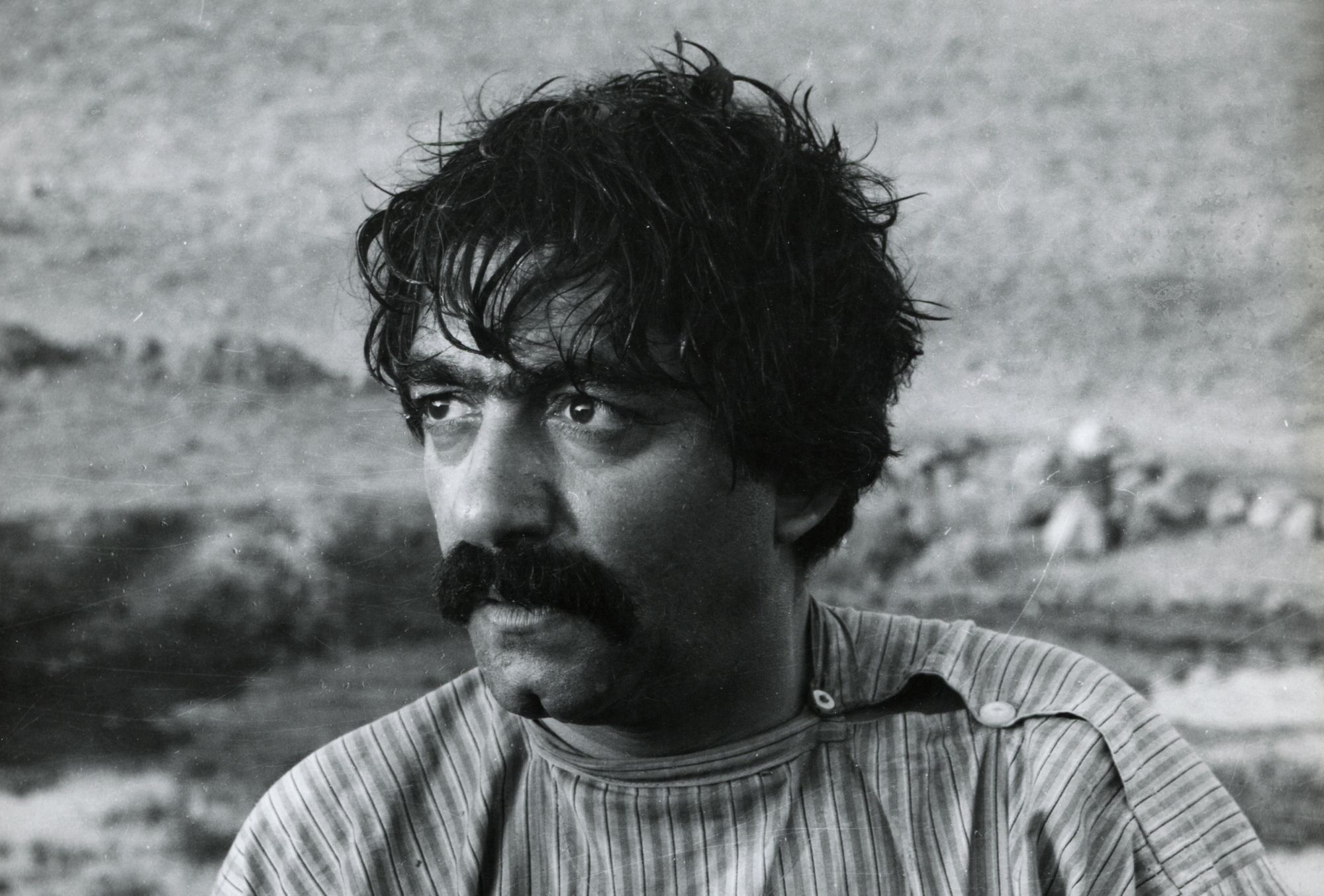 The Cow. 1969. Directed by Dariush Mehrjui | MoMA