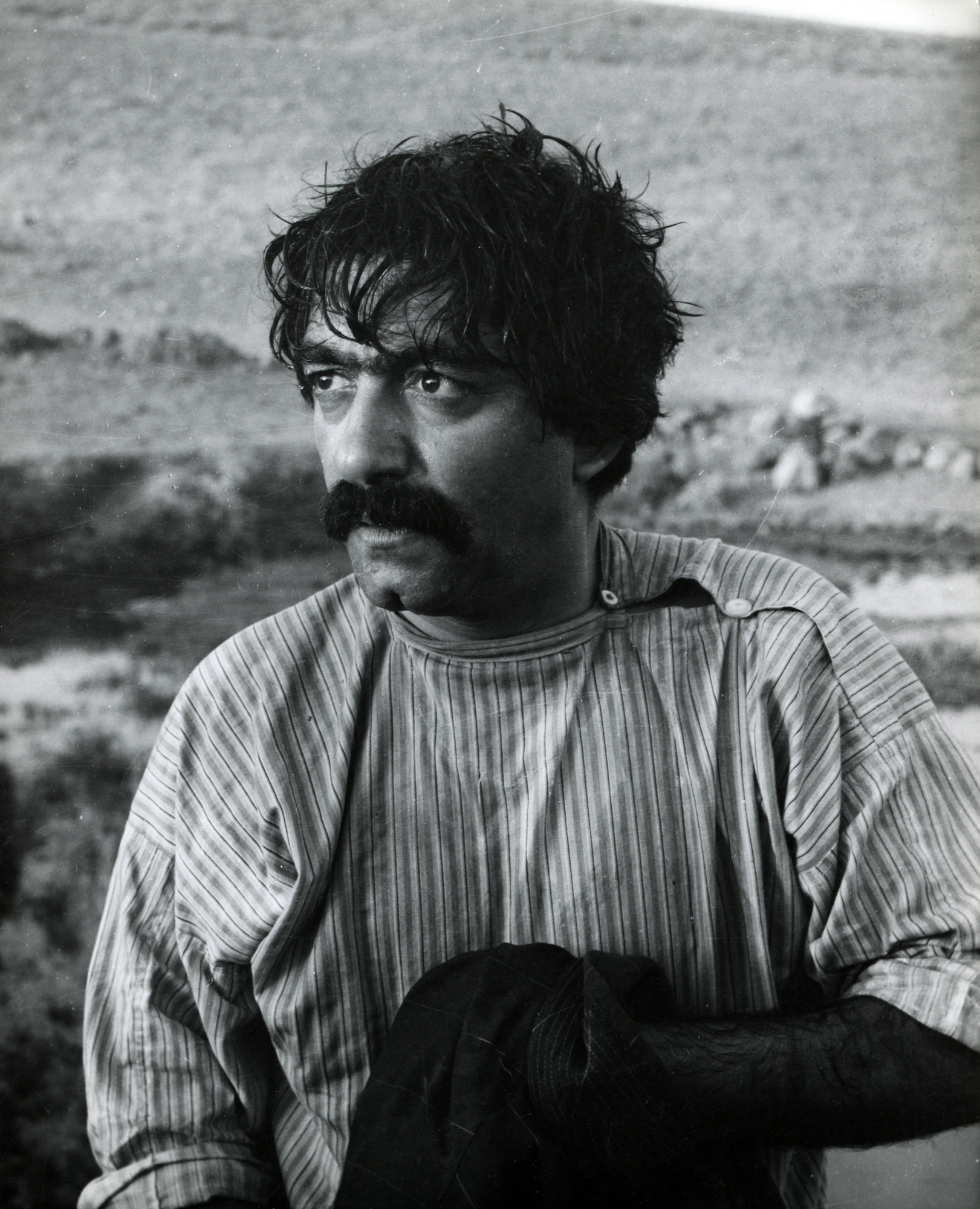 The Cow. 1969. Directed by Dariush Mehrjui | MoMA
