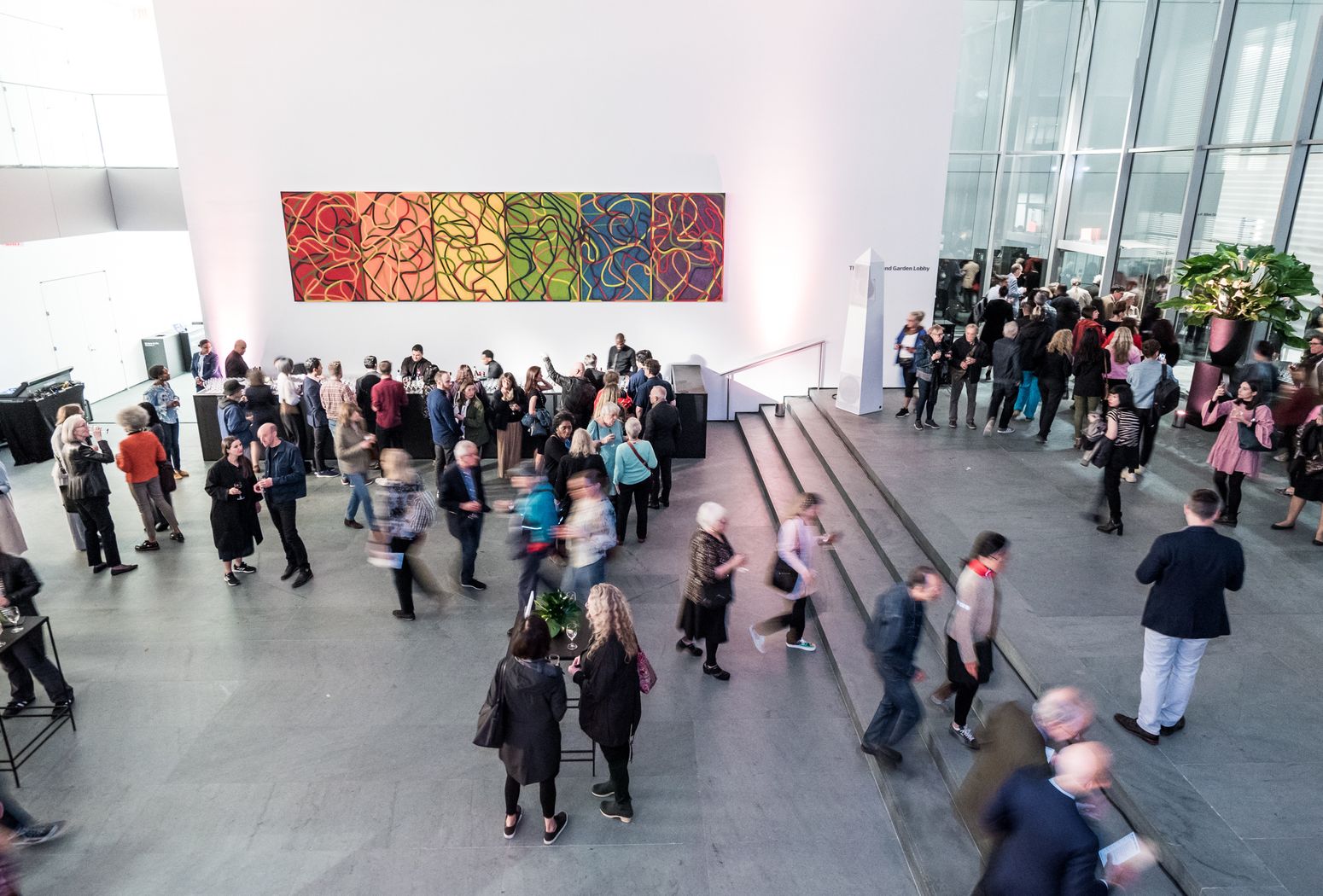 Member Evening | MoMA