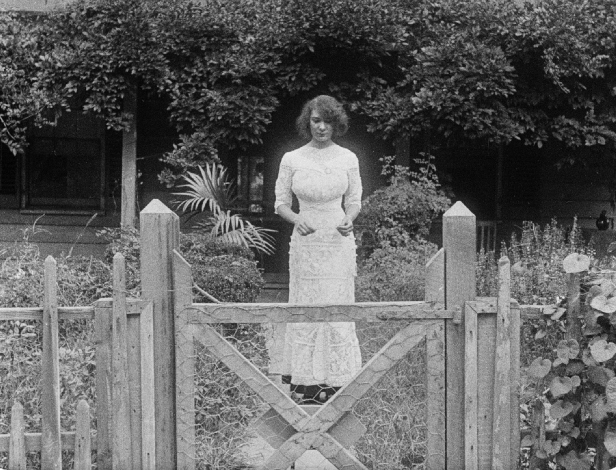 Miracle in Harlem. 1948. Directed by Jack Kemp Lime Kiln Club Field Day ...