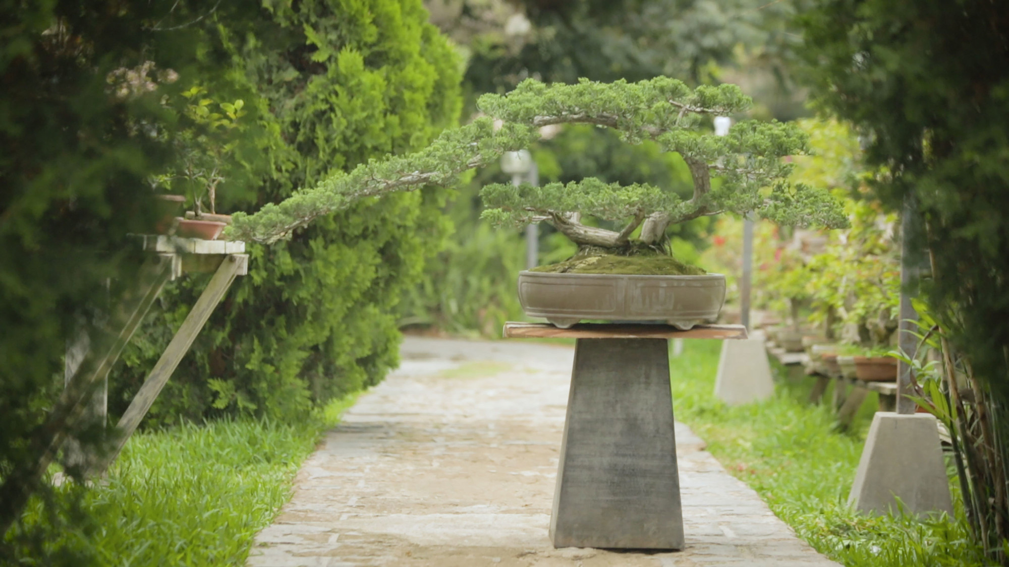 Stergios Dinopoulos | Magazine | MoMA