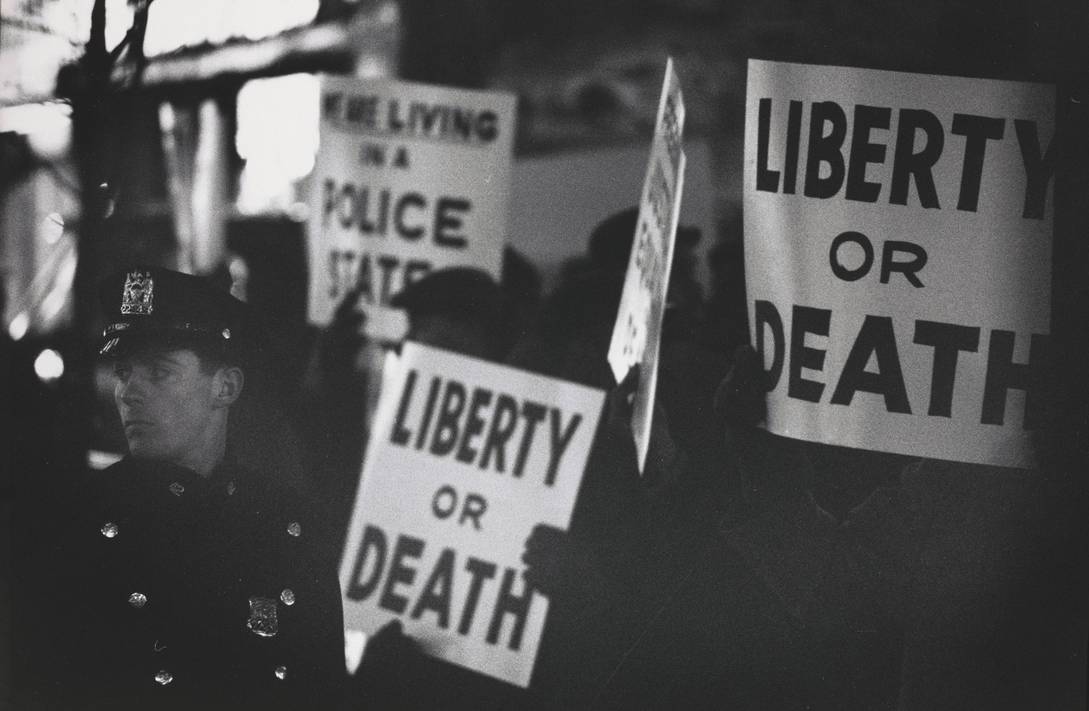 Artists Spark Creativity | Magazine | MoMA