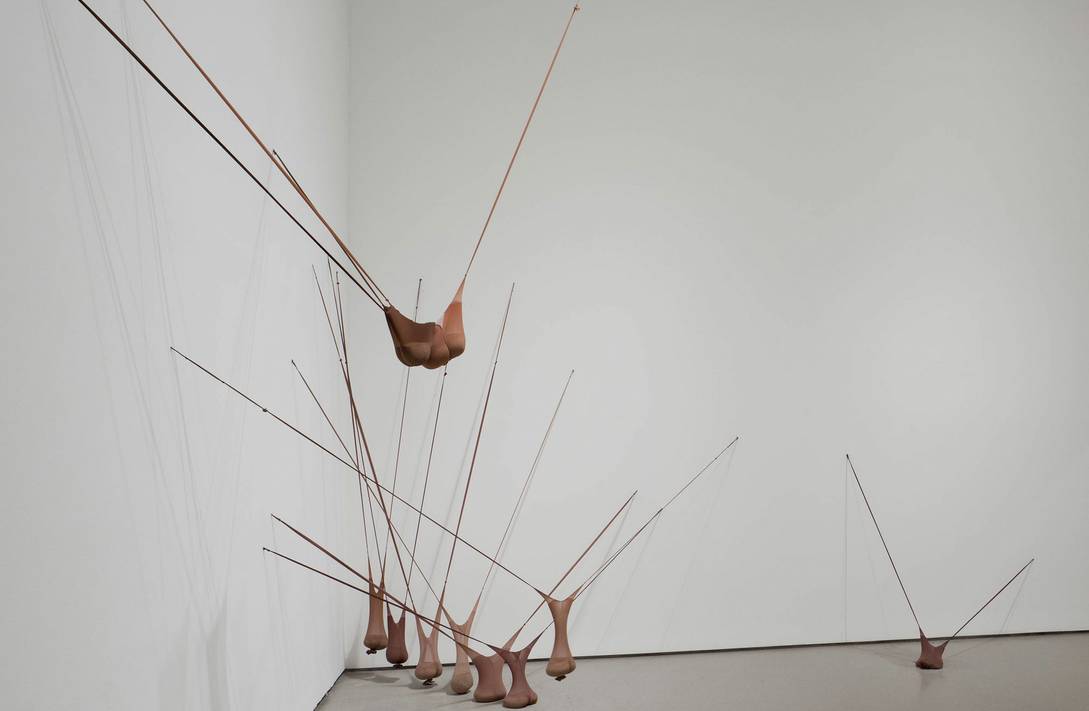 Paul Galloway on the Volkswagen Beetle | Magazine | MoMA