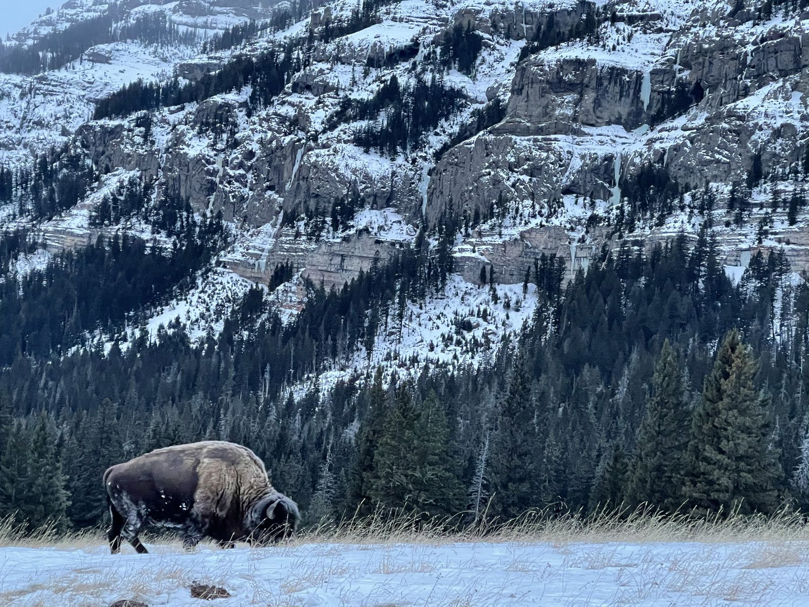 We Are All Related: Artists, Writers, and More Share Wishes for 2021 ...