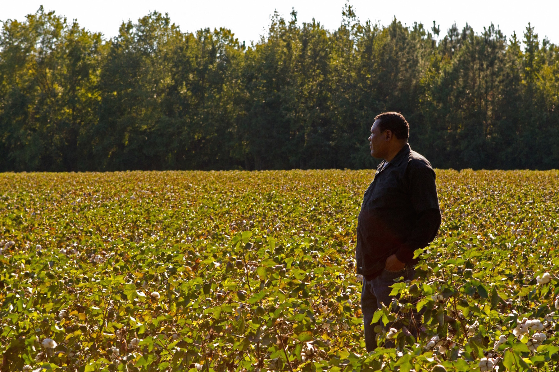 Watch Homegoings | MoMA Virtual Cinema Streaming | MoMA