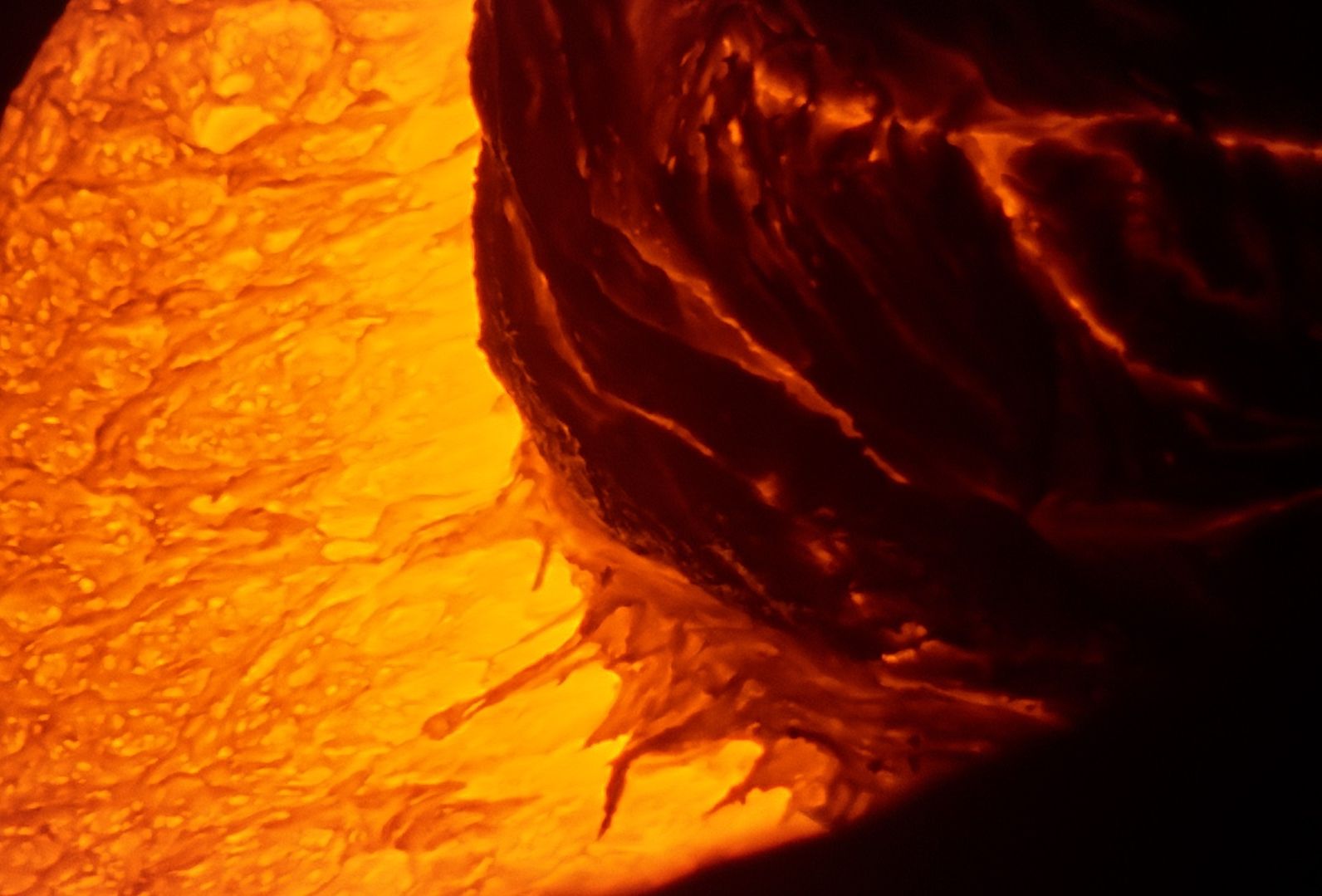 Watch Rock Bottom Riser | MoMA Virtual Cinema Streaming | MoMA