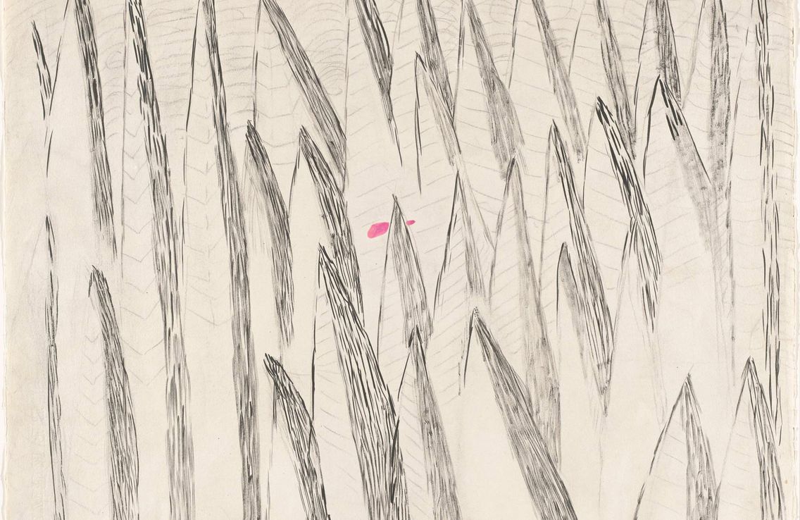 Degree Zero: Drawing at Midcentury | MoMA